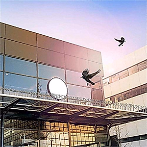 Aspectek Plastic Polycarbonate Bird Spikes Kit with Adhesive Glue, Covers 10 Feet