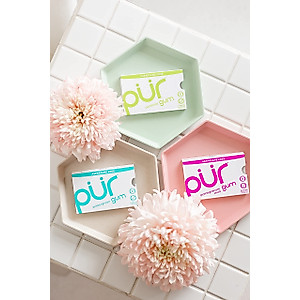 PUR Gum | Aspartame Free Chewing Gum | 100% Xylitol | Natural Flavored Gum, Variety Pack, 9 Pieces (Pack of 8)