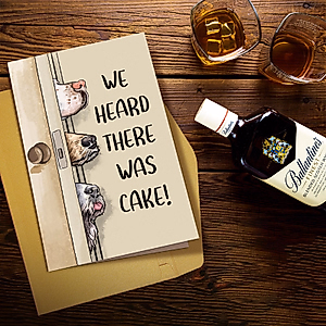 Funny Birthday Card from Dog, Cute Dog Birthday Card, Happy Birthday Card for Dog Dad Mom, Humorous Birthday Card for Him Her