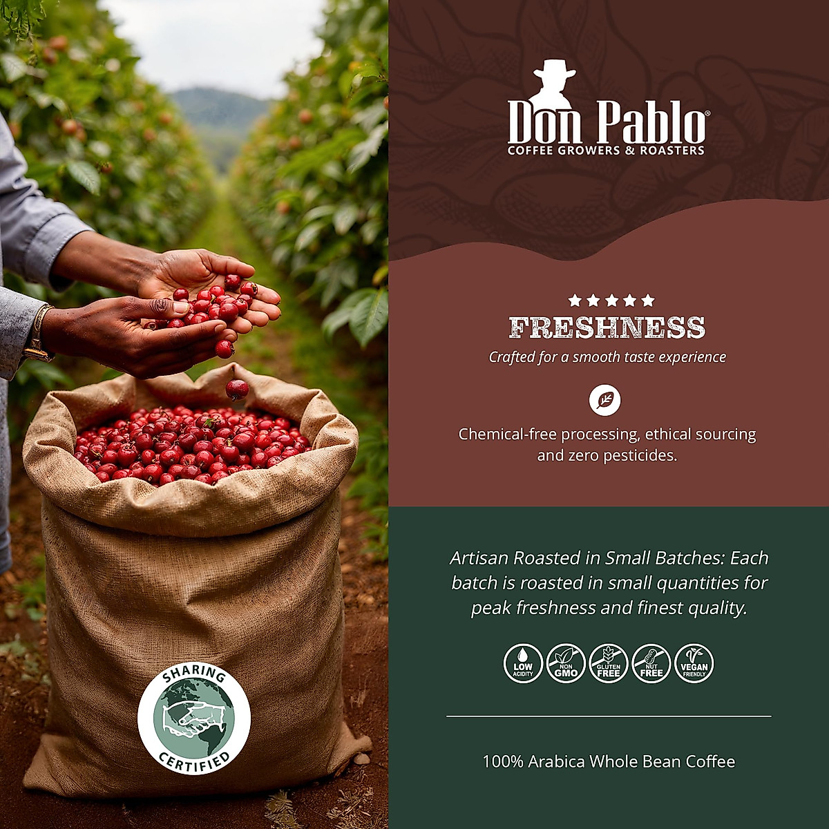 Don Pablo Gourmet Coffee - Signature Blend - Medium Dark Roast - Whole Bean Coffee - 100% Arabica Beans - Low Acidity and Non-GMO - 2lb bag