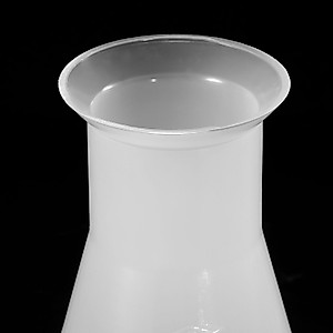 PATIKIL 1000ml Plastic Erlenmeyer Flask, 2 Pack Wide Mouth Conical Flask for Laboratory, Clear