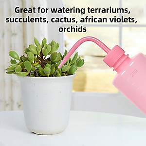 KIGITIK 3 Pcs Tattoo Wash Bottle, Wash Bottles, Narrow Mouth Squeeze Bottle, Safety Rinse Bottle Watering Tools, for Lab, Tattoo, hair, pet, Plant Irrigation Bottle (Pink, 250ml)