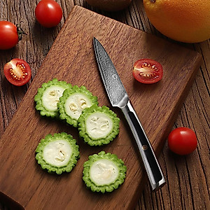 Sunnecko Paring Knife 3.5 Inch, Fruit Knife with 67-layers Damascus Steel VG-10 Blade Small Knife, Peeling Knife with Inlaid Handle Small Kitchen Knife Perfect for Cutting Fruit Vegetables Petty Knife