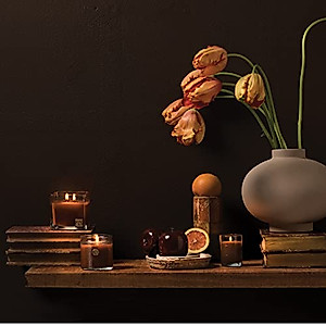 Aromatique Cinnamon Cider Textured Glass Candle 6oz - Decorative Home Fragrance Aromatherapy Long Lasting Room Air Freshener Deodorizer Perfect Fall Decoration Luxury Glass Candle Gift 40 Hour Burn!