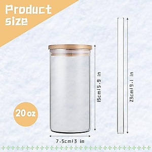 Kftamoetly 2 Pack Glass Cups with Bamboo Lids and Glass Straws, Reusable Wide Mouth Drinking Cups Can Glass Suitable for Juice, Ice Coffee, Tea, Beer, Whiskey (Transparent)