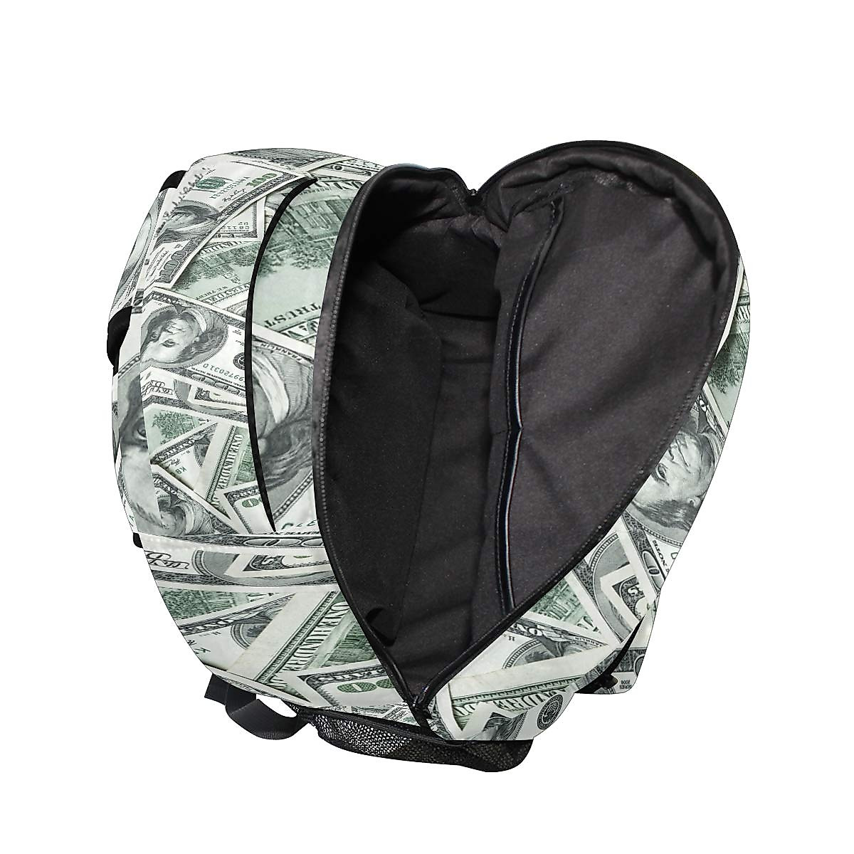 Backpack Funny American Dollar Money Adults School Bag Casual College Bag Travel Zipper Bookbag Hiking Shoulder Daypack for Women Men