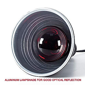 WACOOL Reptile Lamp Fixture Pack of 2 & Thermometer, Optical Reflection Reptile Light Fixture & Temperature Gauge for Reptile Heat Lamp UVB Light Bulb (5.5INCH)