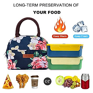 ZURLEFY Insulated Bento Box with Lunch Bag for Adults, Bento Tote and Lunch Box Set for Microwave, Freezer, Dishwasher Safe (Pink Lunch Box With Bag)