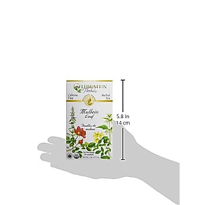 CELEBRATION HERBALS Mullein Leaf Organic 24 Bag, 0.02 Pound