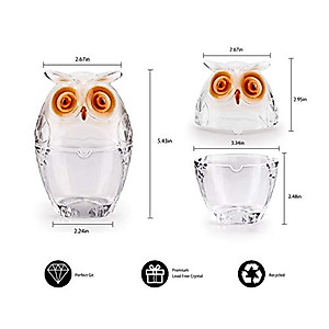 ALAMHI Crystal Glass Candy Dish with Lid,Small Clear Candy jar,Cute Owl Decorative jar for Office Desk, Glass Owl Home Decor