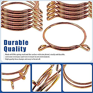 Glarks 10Pcs 55MM Fuel Line Hose Clamps Tube Spring Clips Clamps Set for Auto Motorcycle (55MM)