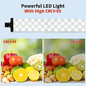 32"x32" Photo Studio Light Box for Photography, 3 Color 10-Level Adjustable Photo Box with Soft Light Cloth 32 inch Professional Photo Background Shooting Tents White Light, Soft Light, Warm Light