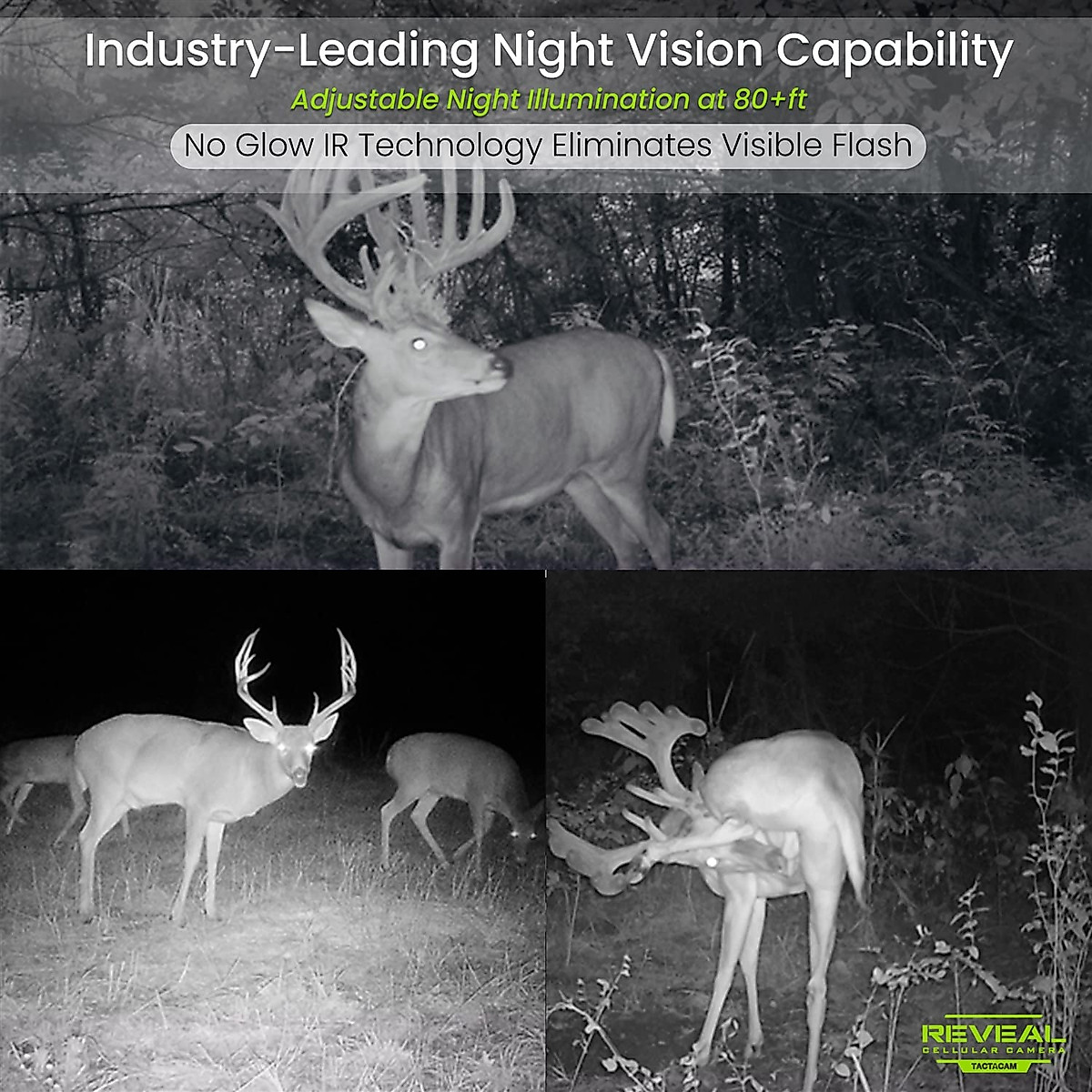 TACTACAM Reveal XB Cellular Trail Camera, No Glow - Verizon & AT&T