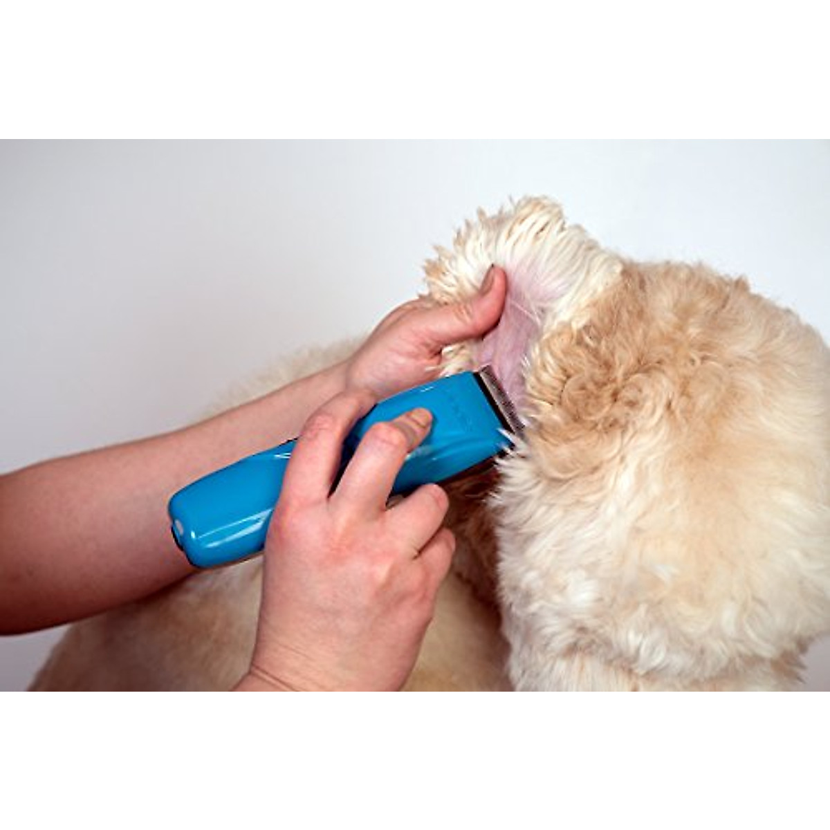 Andis 73515 Pulse Li 5 Cord/Cordless Grooming Clipper for Dogs, Cats and Equine, Teal
