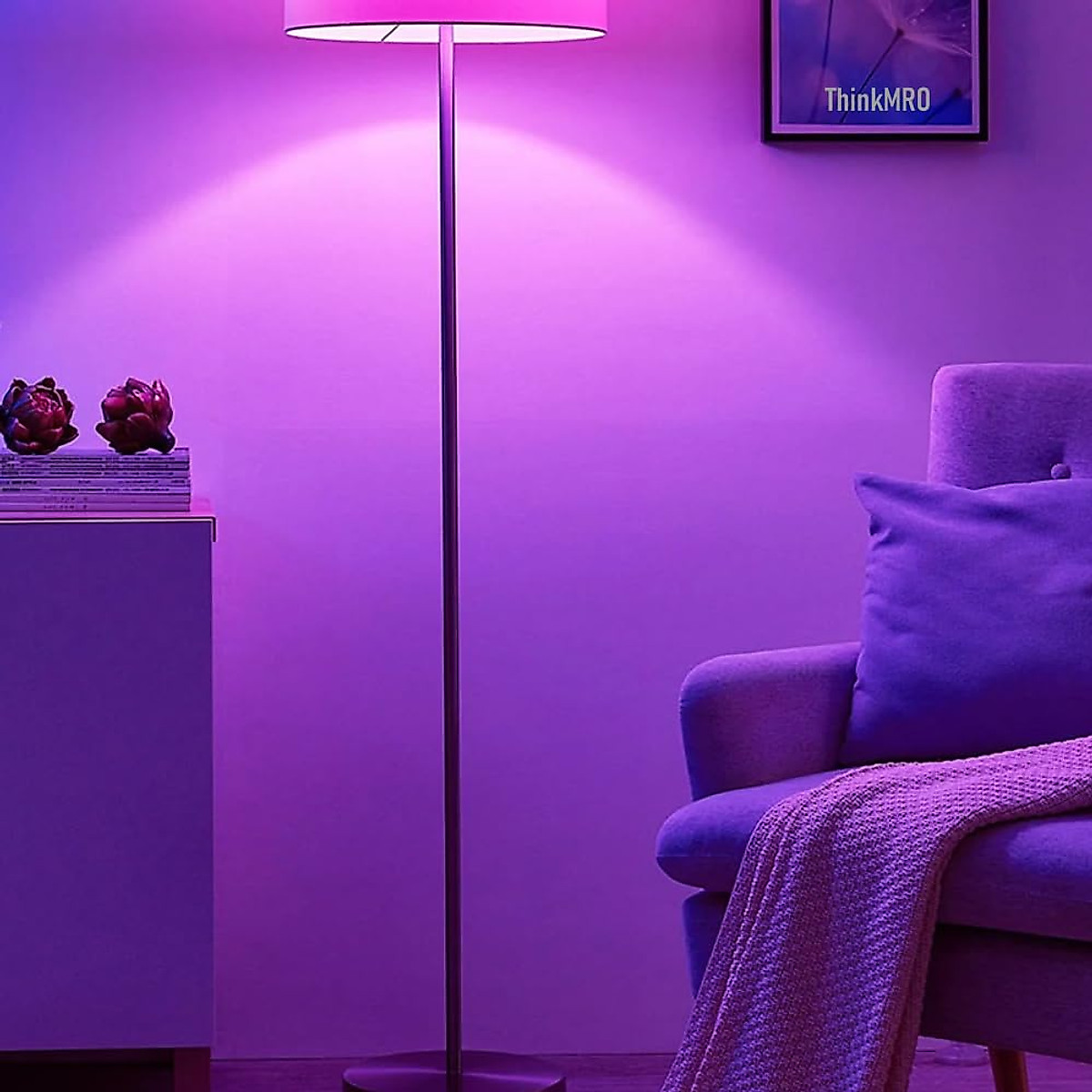 ThinkMRO RGB RGBW 10W A19 E26 E27 Multiple Colors Changing Light Bulbs with Remote,LED Lamp Replace Bulb,Warm White,Dimmable Memory Function,Ideal Lighting for Home Decoration,Party,Gardens,Corridors