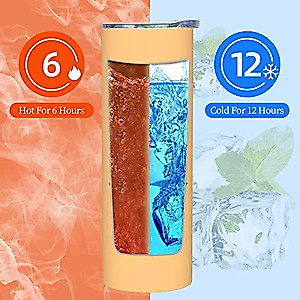 LIICHEES Flag of Maine (1901–1909) Stainless Steel Vacuum Insulated Tumbler 20oz Coffee Cups Travel Mug Water Cup with Metal Straw Cleaning Brush