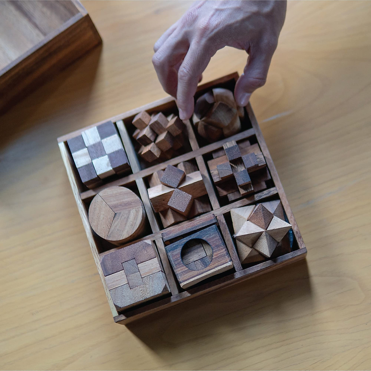 BSIRI 9 Puzzles in a Box - Wooden Brain Teasers, 3D Puzzles for Adults and Kids, Educational Mind Games, Ideal for Birthday Gifts and Home Decor