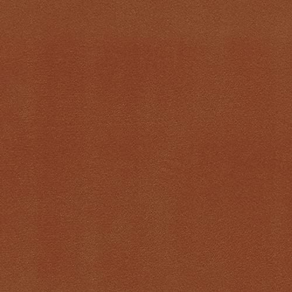 Lexicon Elyse Dining Chair (Set of 2), Orange