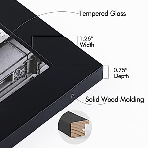 Golden State Art, 16x20 Black Picture Frame Made of Solid Wood & Tempered Glass (1 Pack)