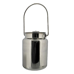 Rural365 Metal Milk Jug, 4 Liter (1 Gal) - Stainless Steel Jug, Rustic Milk Cans with Lid, Old Fashion Milk Jug Vases