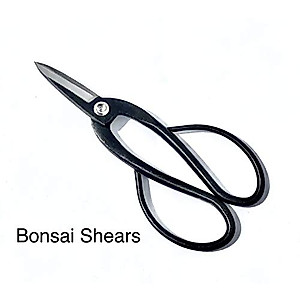 7.3” Bonsai Scissors, for Bonsai Gardening. Bonsai Shears. Bonsai Pruning with a High Carbon Steel Blade. Ergonomic Design That Provide Precision Trimming.