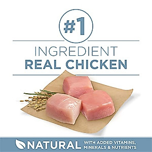 Purina ONE Plus Joint Health Formula Natural With Added Vitamins, Minerals and Nutrients Dry Dog Food - 16.5 lb. Bag