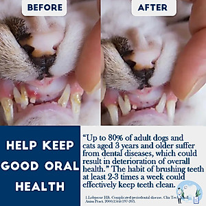 MoonyMars Cat Toothbrush Small Dog Tooth Brush, Tooth Brushing Kit with Micro Round & Pointed Head for Puppy, Kitten & Small Pet, Doggy Toothbrushes Dental Cleaning, Easy Handle, Soft Bristles, 5 PCS