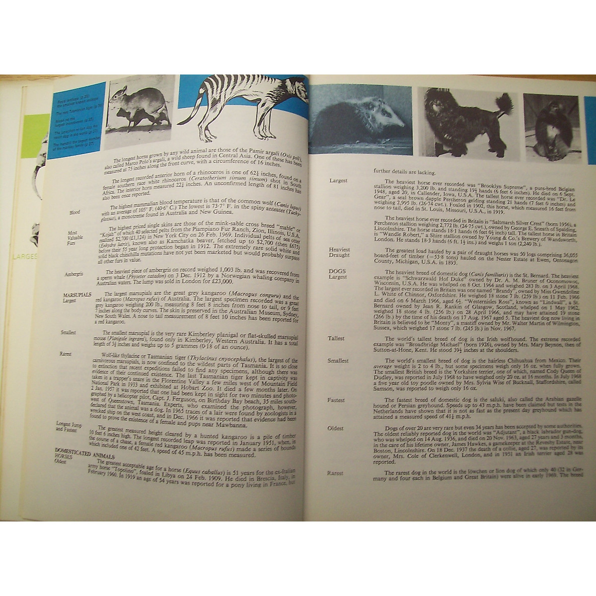 GUINNESS BOOK OF RECORDS 1969