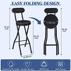 Thyle Folding Stool with Backrest 25.6 Inch Counter Height Folding Bar Stools with Cushioned Padded Foldable Portable Chairs for Adults Kitchen Garden Camping(Black,2 Pcs)