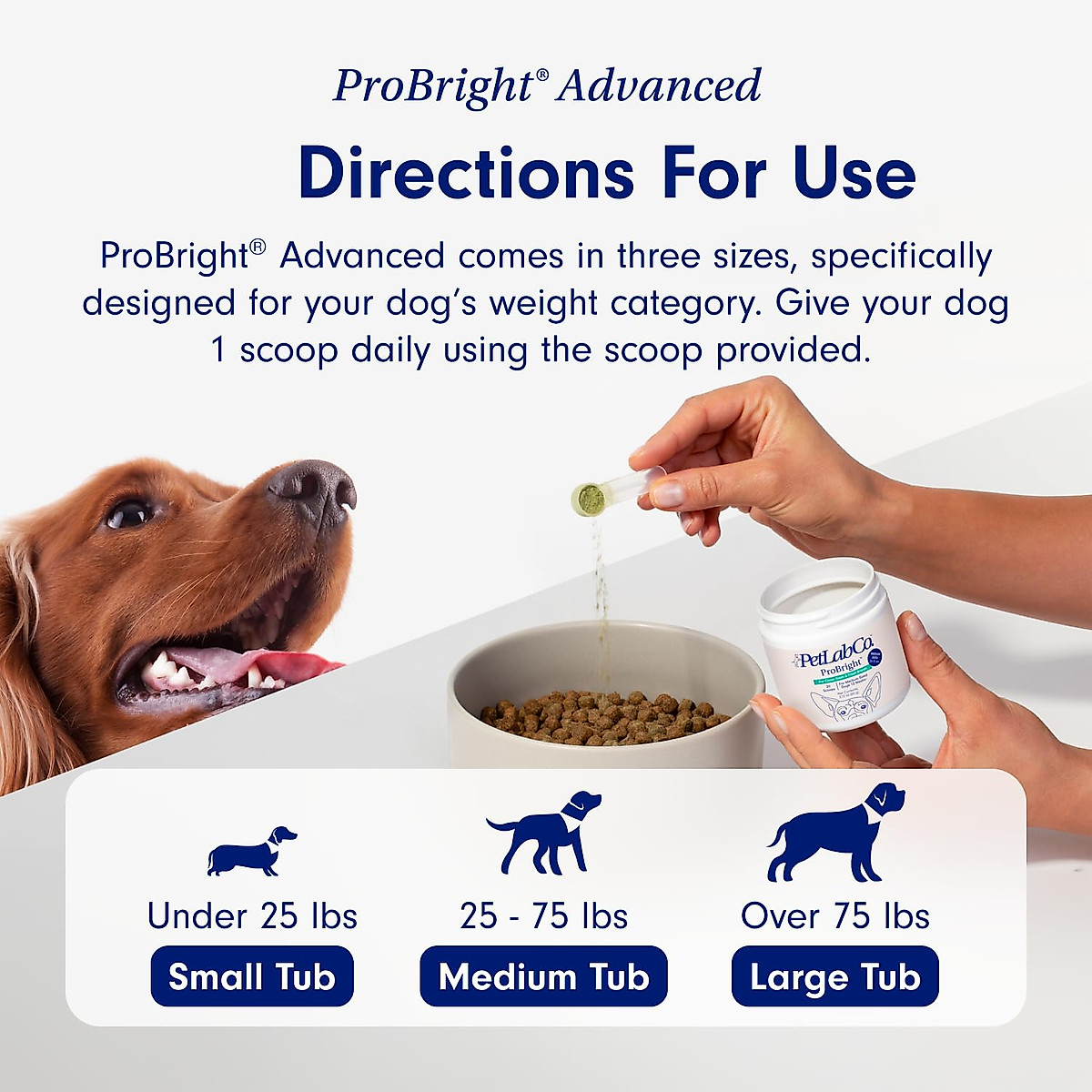PetLab Co. – Gut & Breath Bundle: Dental Powder for Fresh Breath in 1 Scoop. for Small Dogs & Salmon Dog Probiotics to Support a Healthy Gut - Easy to Use – Innovative Formulas