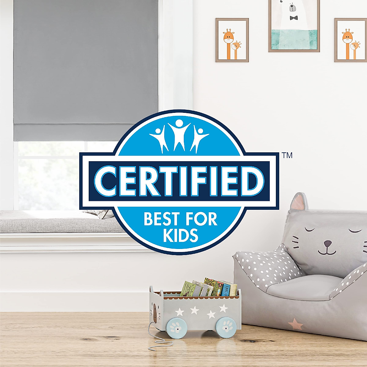 ECLIPSE Kylie Total Privacy Blackout Cordless Lined Window Roman Shade for Living Room, 35 in x 64 in, Ivory