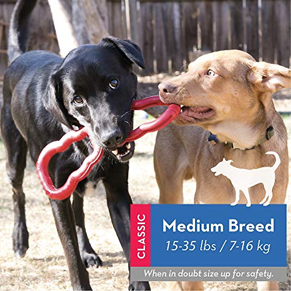 KONG Tug of War Toy - Durable, Stretchy Rubber Dog Toy - for Medium Dogs