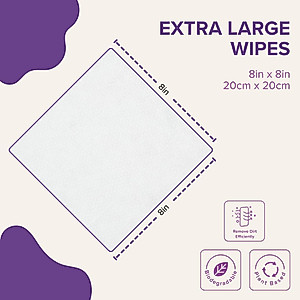 Stink! Plant Based Pet Wipes - Biodegradable - Dirt and Odor Control - Grooming Wipes for Easy Cleaning on Paws Body and Bum - Lavender Scented - 8" x 8" - 400 Count - Extra Thick Paw Wipes for Pets