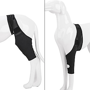 PEIFUKO Dog Knee Brace, Joint Braces to Protect The Knee, postoperative Rehabilitation Braces for securing Leg Straps (XL)