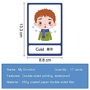 Richardy My Emotion English Words Educational Flash Cards Feelings Expressing Vocabulary Building Homeschool Kindergarten Supplies Kids Toddlers Learning Toys 17 Cards 34 Words