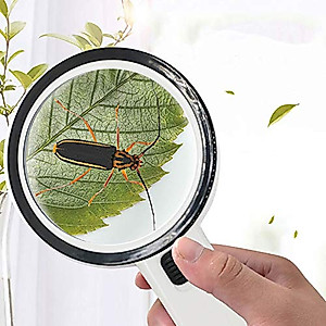 40X Magnifying Glass with Light, Handheld Lighted Magnifier with Large Double Glass Lens Led Magnifiers for Macular Degeneration, Seniors Reading, Soldering, Inspection, Coins, Jewelry, Exploring (#2)