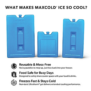 igloo corporation 25201 Maxcold, Large, Ice Block