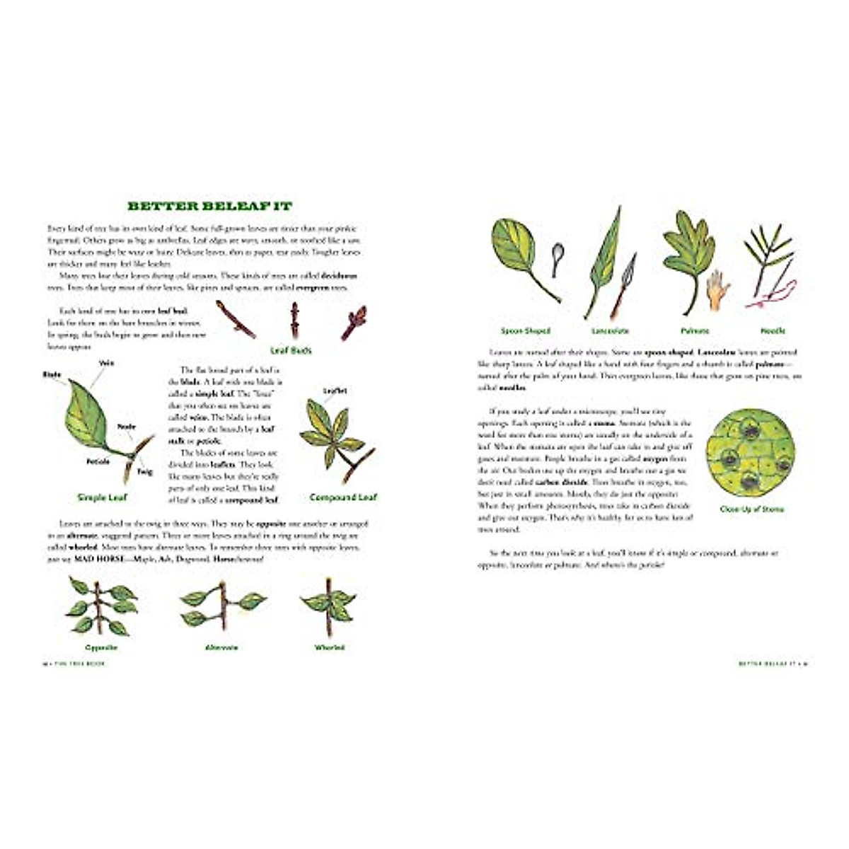 The Tree Book for Kids and Their Grown-Ups