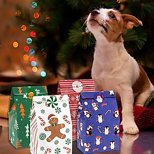 Whaline 60 Pack Christmas Goody Bags Holiday Design Gift Treat Bags with 60pcs Xmas Gift Tag Stickers for Classrooms, Party Favors and Birthdays