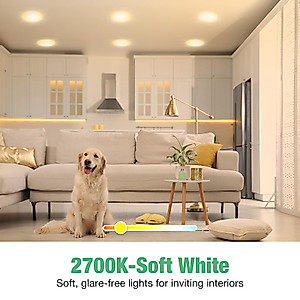 DEGNJU 12 Pack BR30 LED Recessed Light Bulb, Dimmable Indoor Flood Light Bulbs CRI80 7W Equivalent 65W 2700K Soft White 650 Lumens, 15000 Lifetime Hours E26 Base LED Can Light Bulb, Flicker-Free