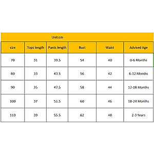 mdnhsb Toddler Baby Girl Clothes Flower Pumpkin Print Sweatshirts Elastic Waist Long Pants Sets Halloween Outfits (A-Orange, 12-18 Months)