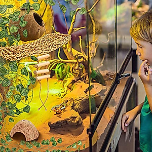 Woiworco Bearded Dragon Tank Accessories, 22 Packs Reptile Habitat Accessories Kit, Lizard Hammock Climbing Jungle Vines, Artificial Leaves, Coconut Hut, and Shells Leopard Gecko Tank Accessories