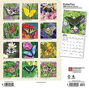 Butterflies 2022 12 x 12 Inch Monthly Square Wall Calendar, Wildlife Animals Wings
