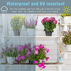 Stingmon 20 Pack Sticky Ribbon Fruit Traps for Kitchen Fly Paper Strips Catcher Indoor, A2