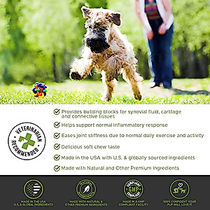 Pet Honesty PureMobility Glucosamine for Dogs - Premium Dog Joint Supplement Support with Glucosamine, Green-Lipped Mussel, Collagen & Turmeric - Advanced Hip & Joint Chews & Pet Joint Support - 60ct