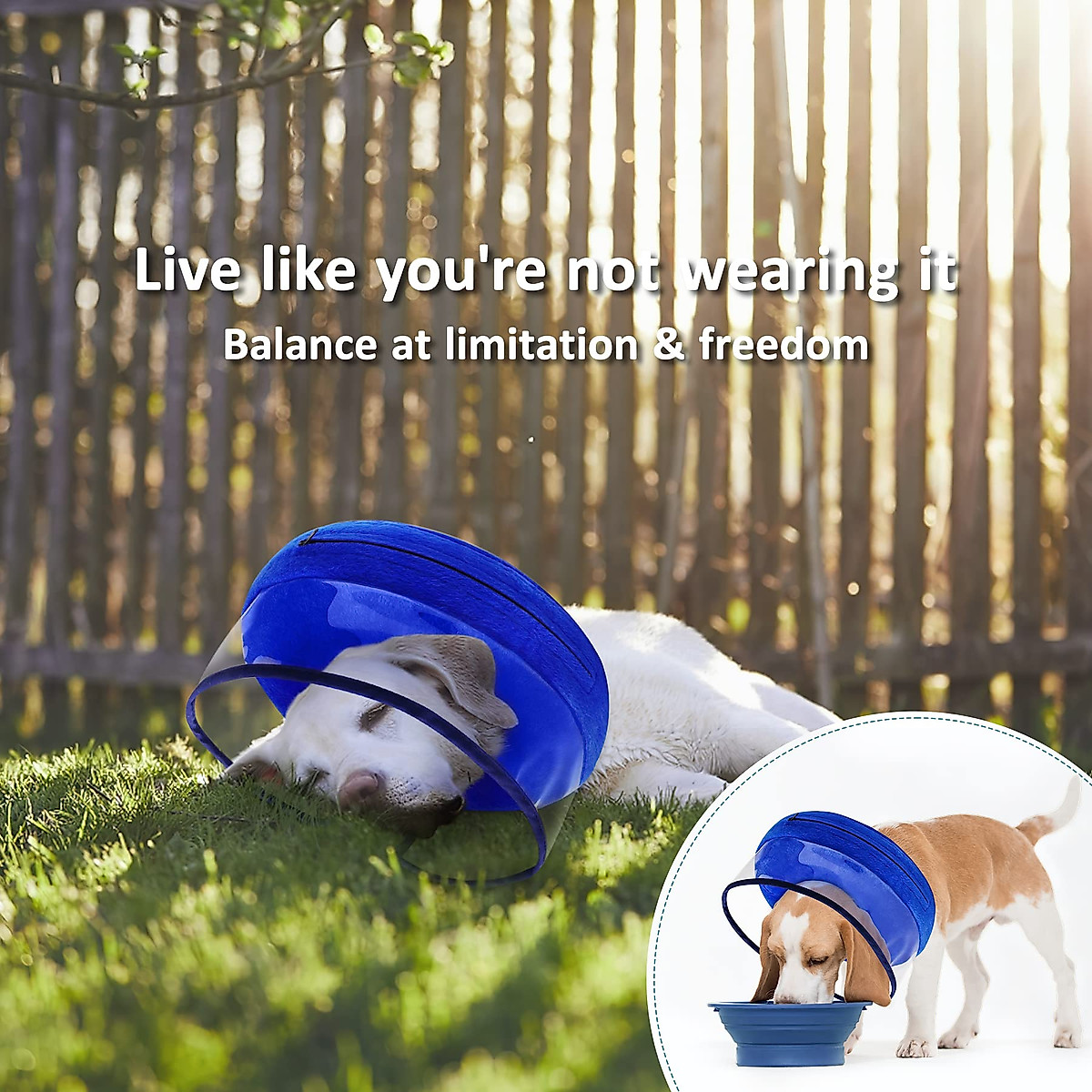 Zeaxuie Soft Inflatable Dog Cone Collar for Dogs After Surgery with Enhanced Anti-Licking for Unrestricted in Daily Life, Pack of One, Blue (Size 2)