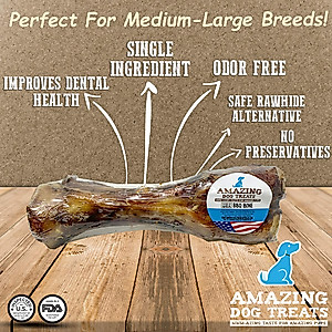 10-11 Inch Meaty Beef Femur Bone (Single Count) - (Made in USA) - Premium American Grade Grass Fed Cattle Bones for Dogs- Beef Femur Shin Bone Dog Chews