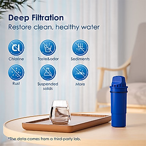 Waterdrop Replacement for Pur®, Pur® Plus Water Filter, CRF950Z NSF Certified Pitcher Water Filter, Compatible with All Pur® Pitchers and Dispensers PPF951K™, PPF900Z™ Water Filter, Pack of 2