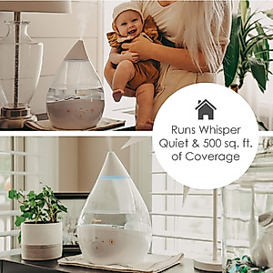 Crane Ultrasonic Humidifiers for Bedroom and Office, 1 Gallon 4-in-1 Cool Mist Air Humidifier for Large Room and Home, Humidifier Filters Optional, Clear & White