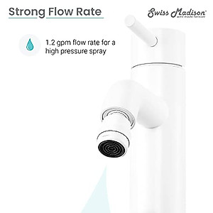 Swiss Madison Well Made Forever SM-DF81C Ivy Bidet Faucet in Chrome